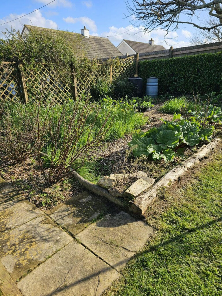 Growing Together: A community ‘patchwork farm’ taking root in Truro ...
