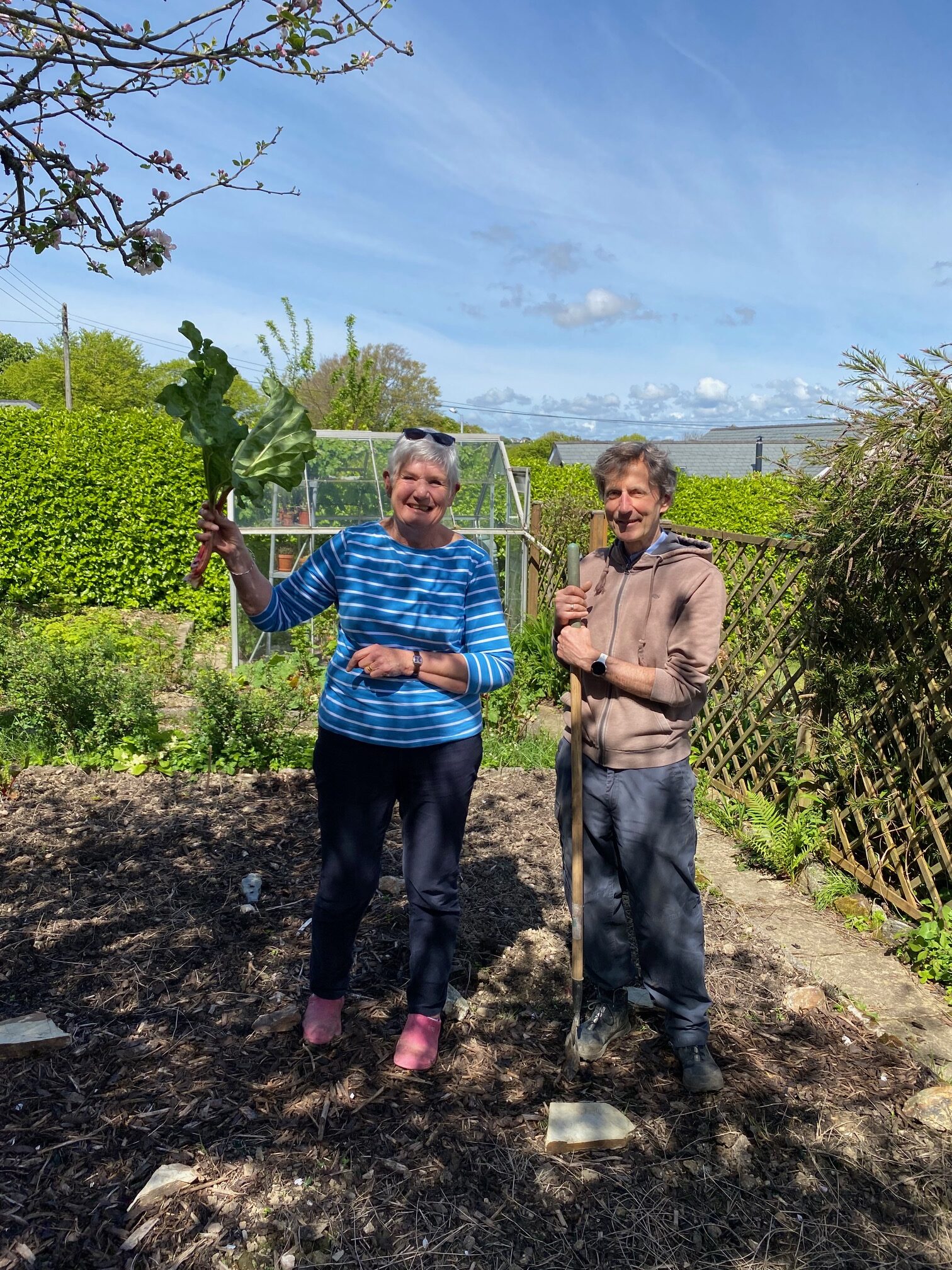 Growing Together: A community ‘patchwork farm’ taking root in Truro ...